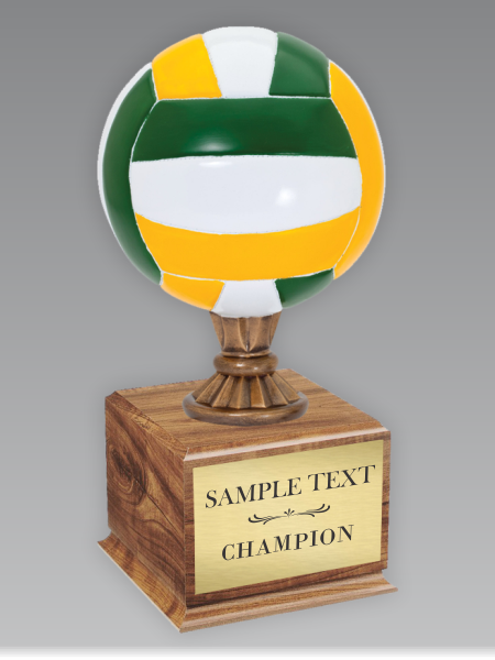 Volleyball Championship Trophy - Ampros Awards