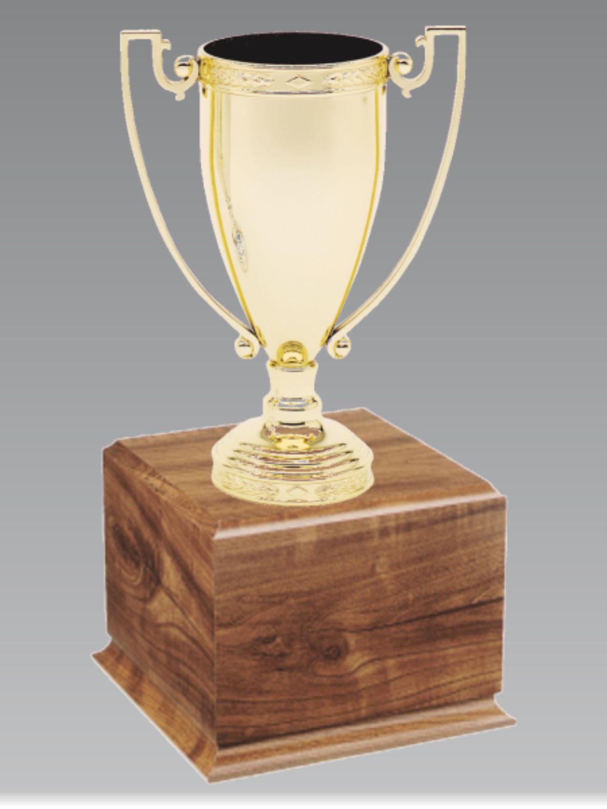 Traditional Cup Trophy - Ampros Awards