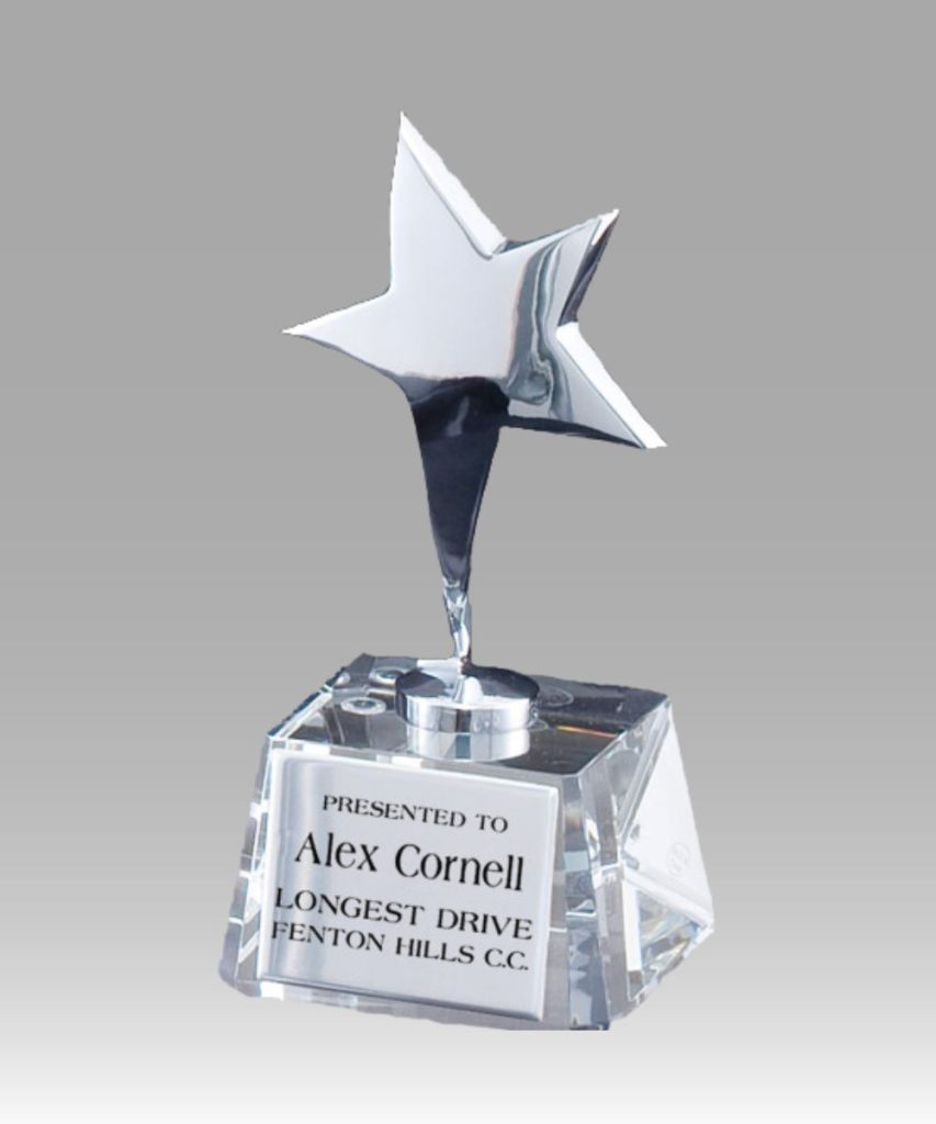 Silver Star Award - Ampros Awards