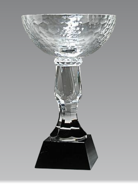 Large Loving Cup - Ampros Awards