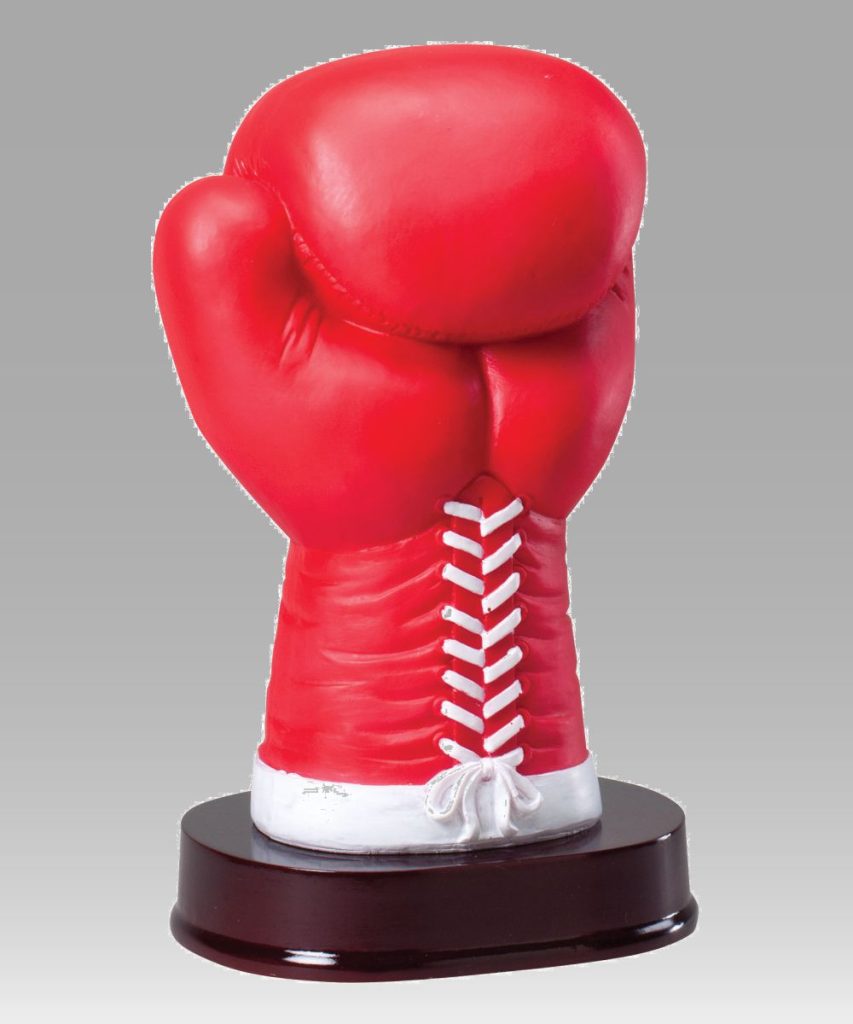Full Color Boxing Glove Award - Ampros Awards