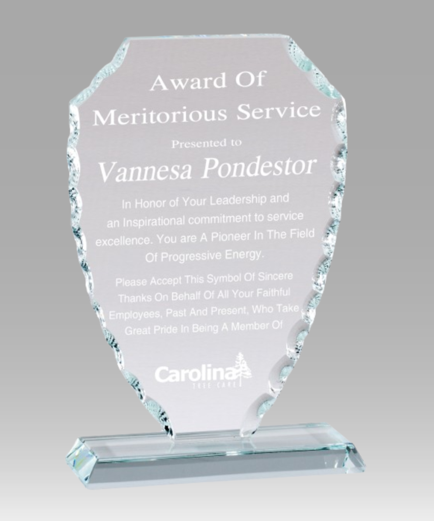 Glass Shield Award - Ampros Awards